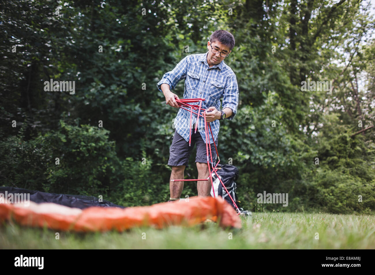 Man putting up hi-res stock photography and images - Alamy
