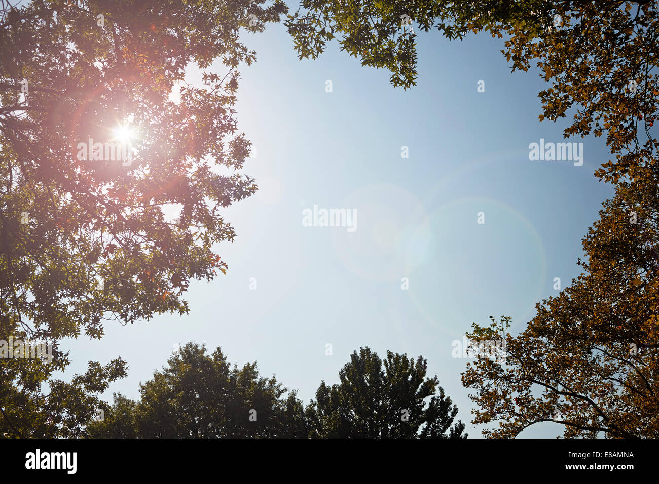 Low angles views hi-res stock photography and images - Alamy