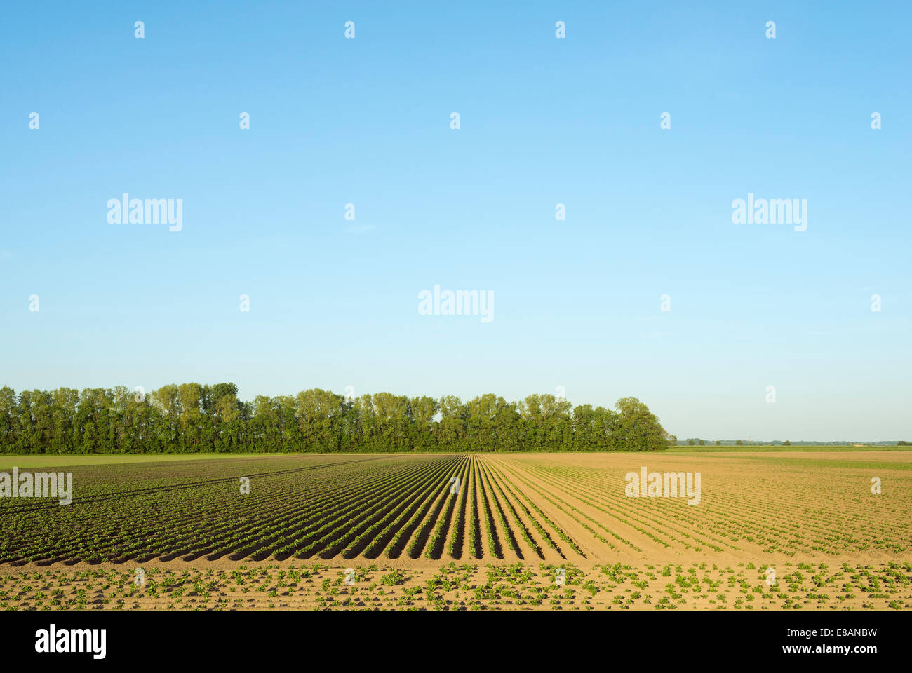 Industry in landscape hi-res stock photography and images - Alamy