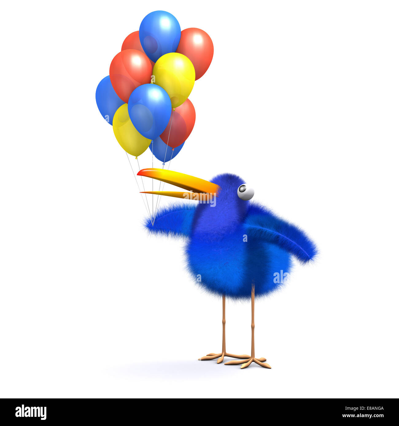 Fluffy bluebird hi-res stock photography and images - Alamy