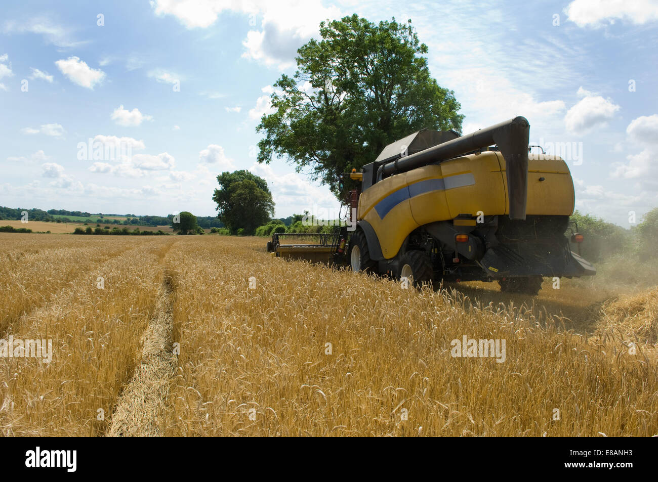 Harvesting machine moving hi-res stock photography and images - Alamy