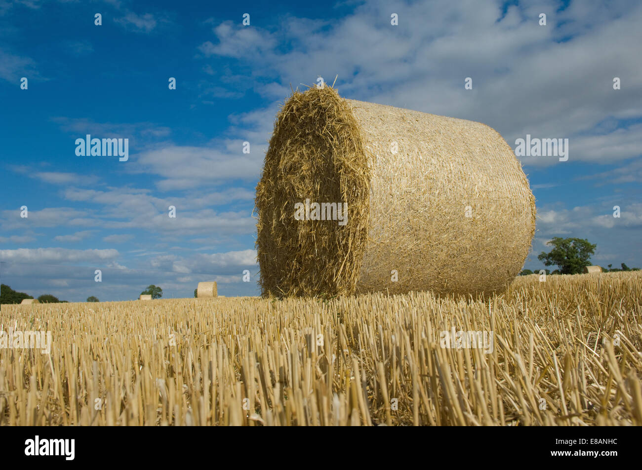 Rustic hay bale hi-res stock photography and images - Alamy