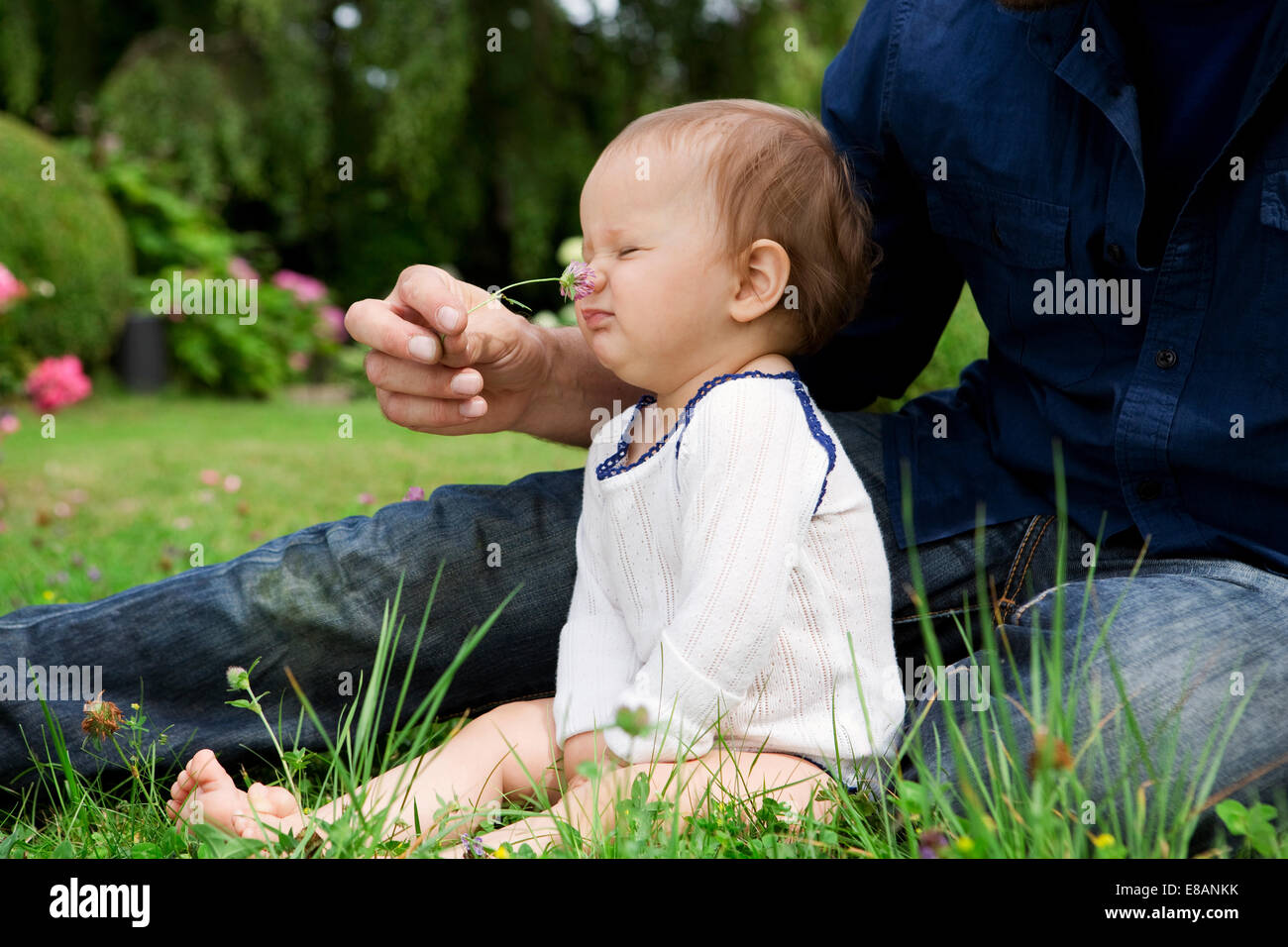 Father tickling baby daughters nose with grass in garden Stock Photo ...