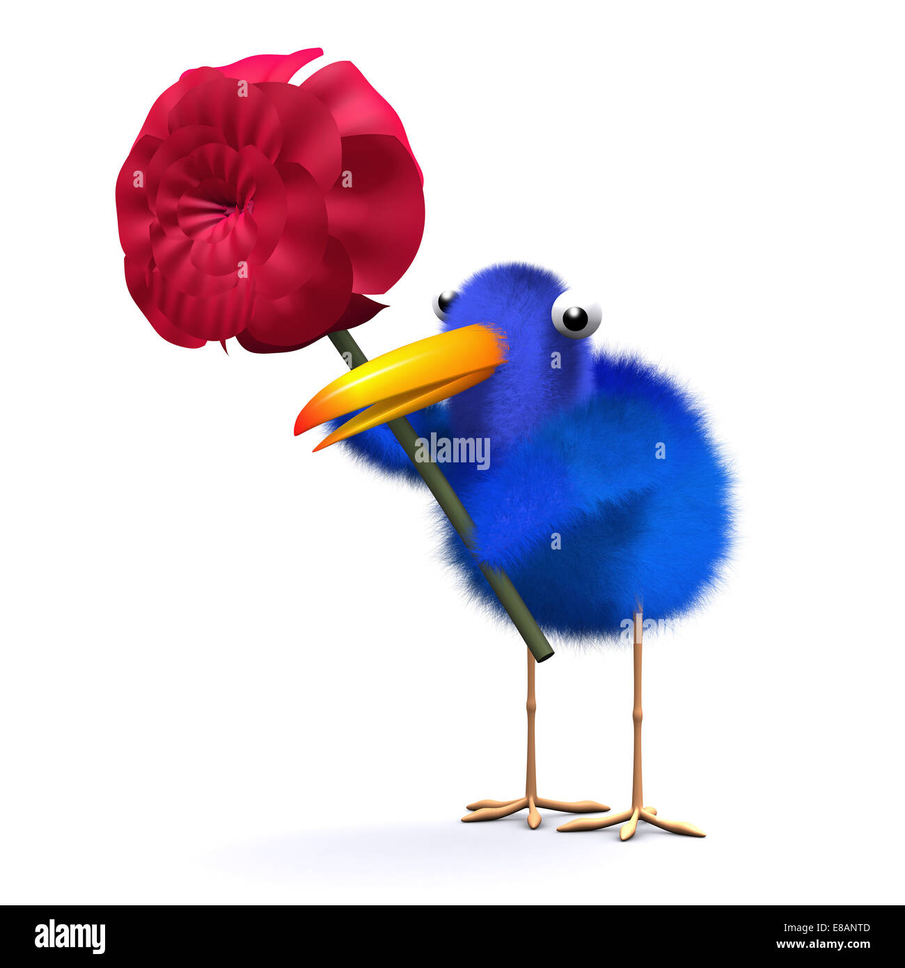 3d render of a bluebird holding a red rose Stock Photo - Alamy