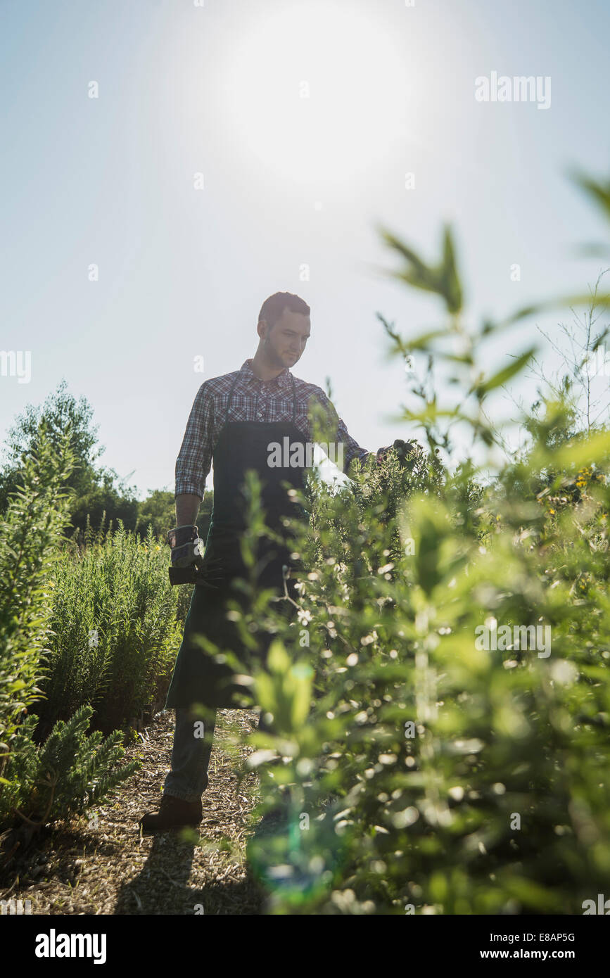 Tending your plants hi-res stock photography and images - Alamy