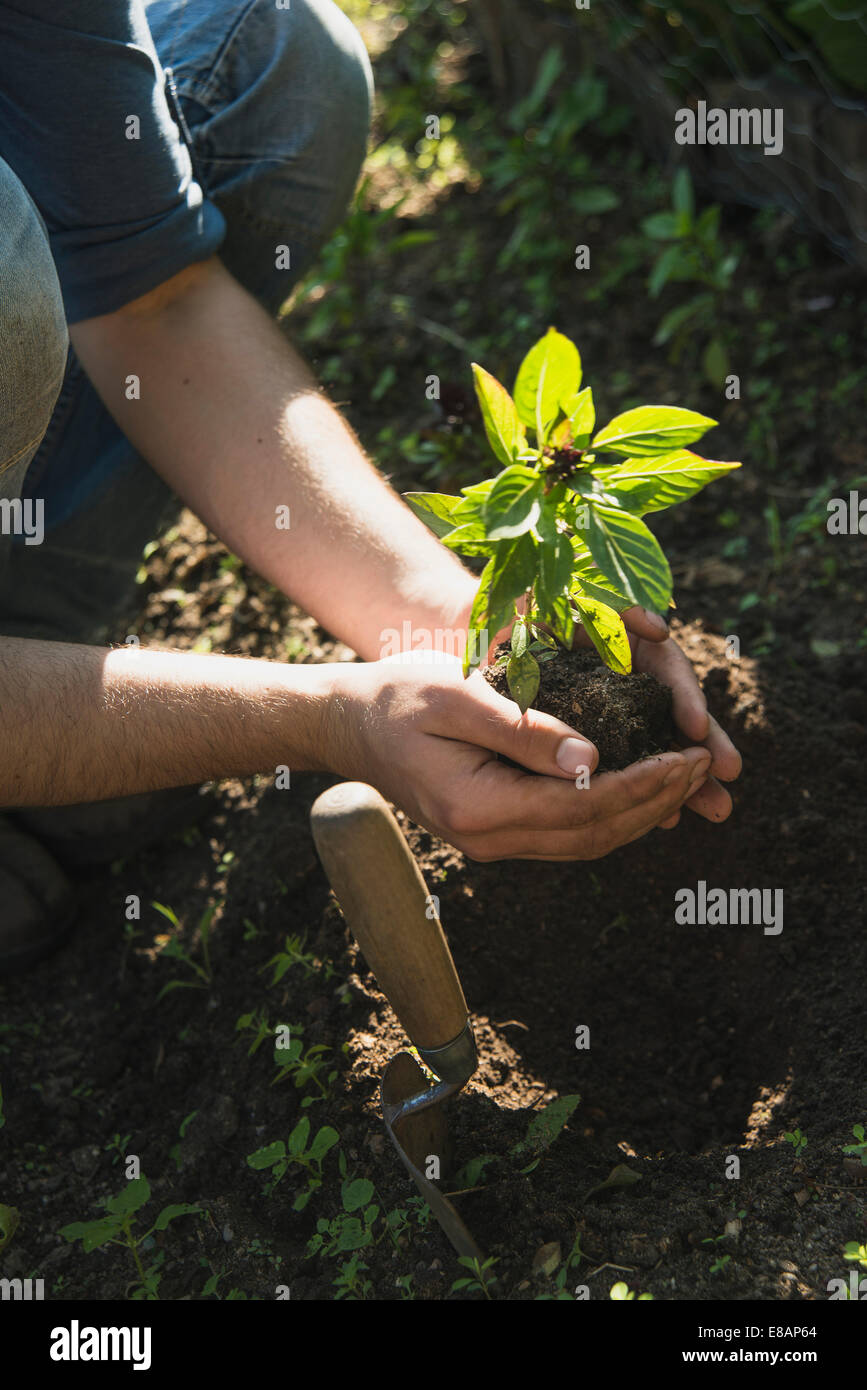 Allotment ground hi-res stock photography and images - Alamy