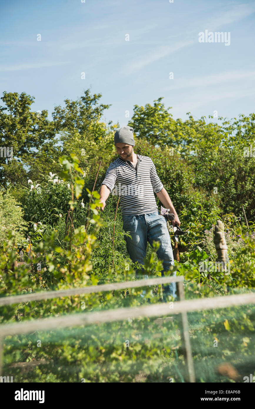 Person looking at vegetable stand hi-res stock photography and images ...
