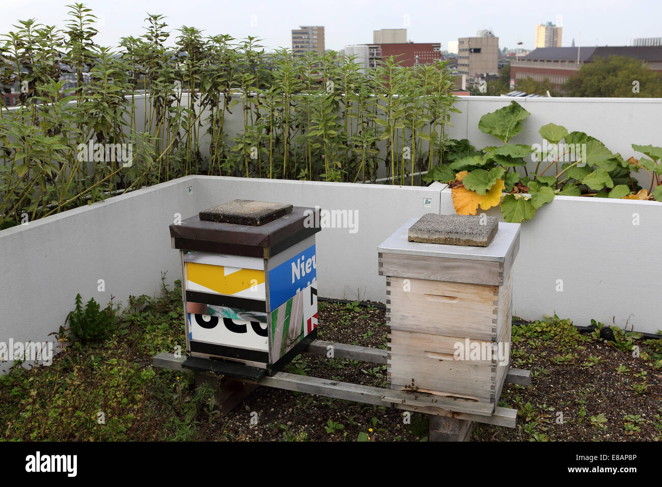 Rooftop hives hi-res stock photography and images - Alamy