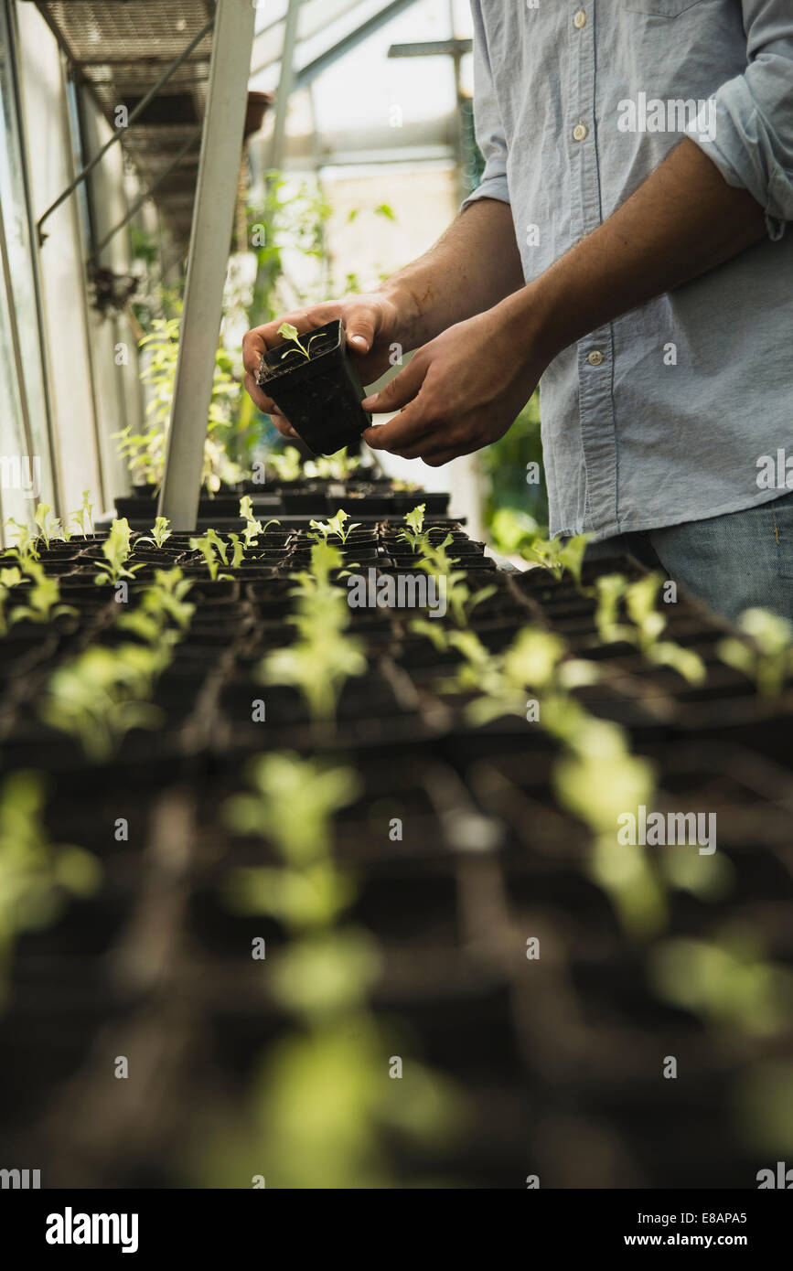 Greenhouse hi-res stock photography and images - Alamy