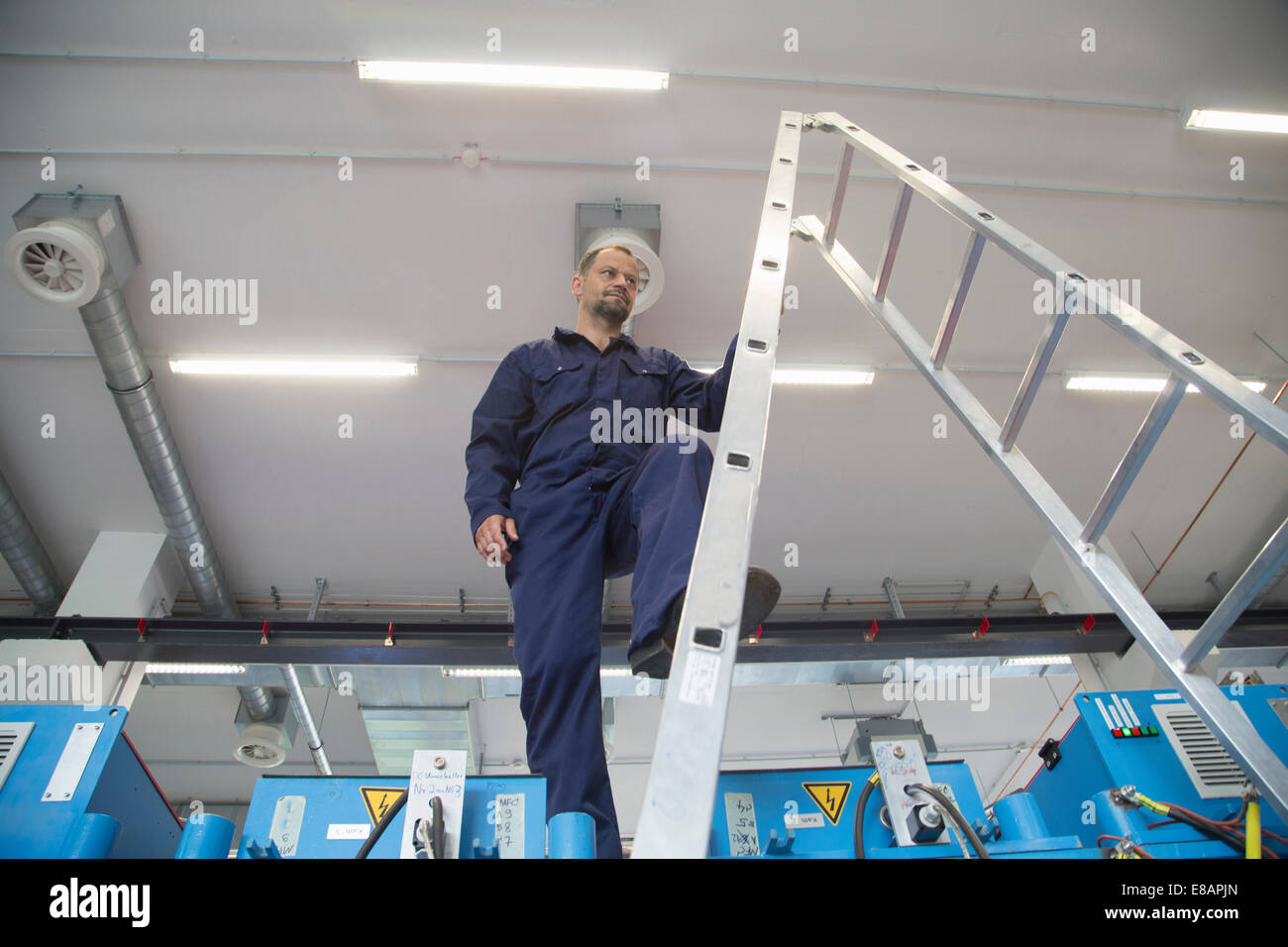 Worker on ladder in industrial plant Stock Photo - Alamy