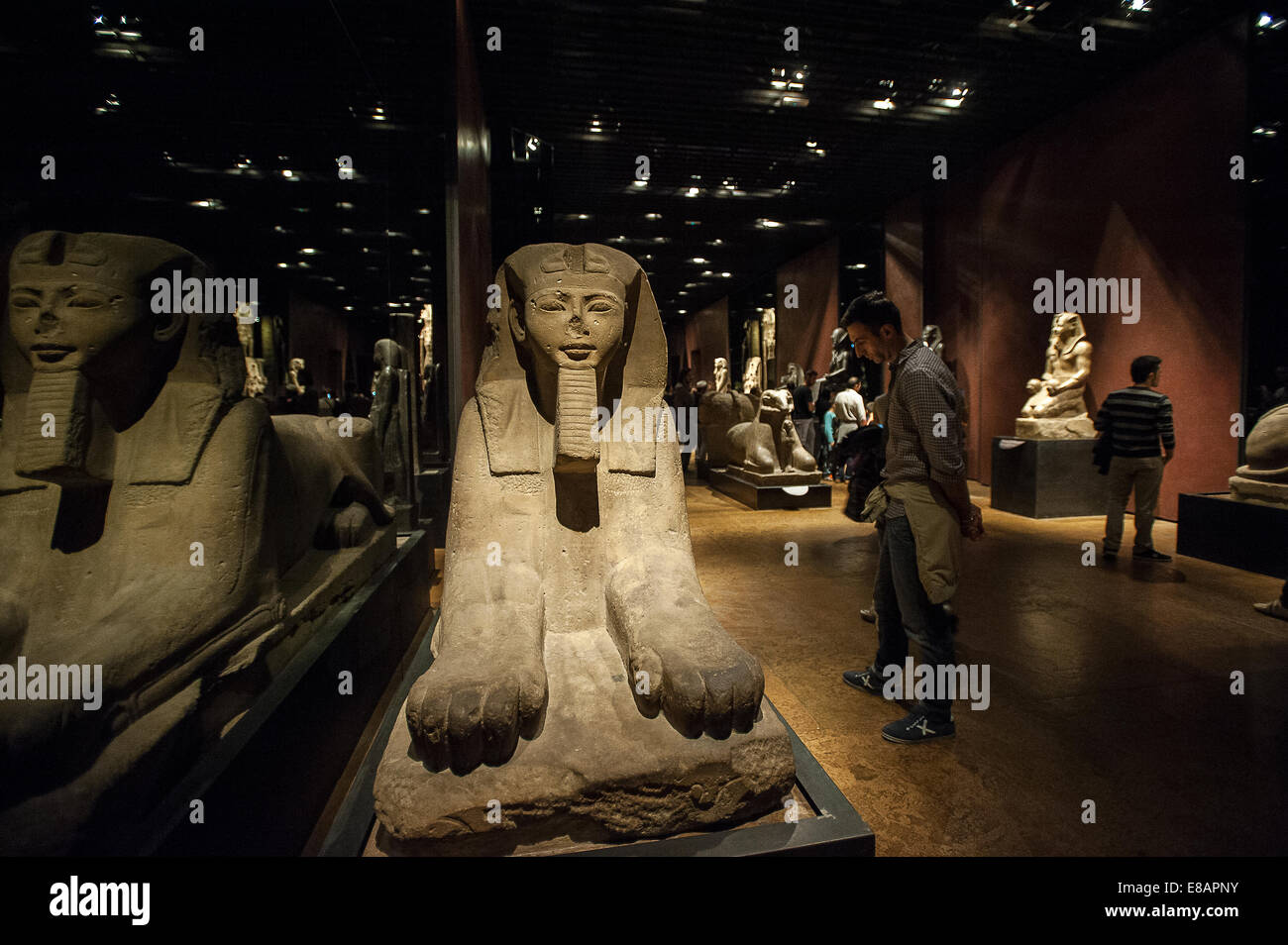 Italy Piedmont Turin Egyptian Museum Statuary Sphinx Stock Photo - Alamy