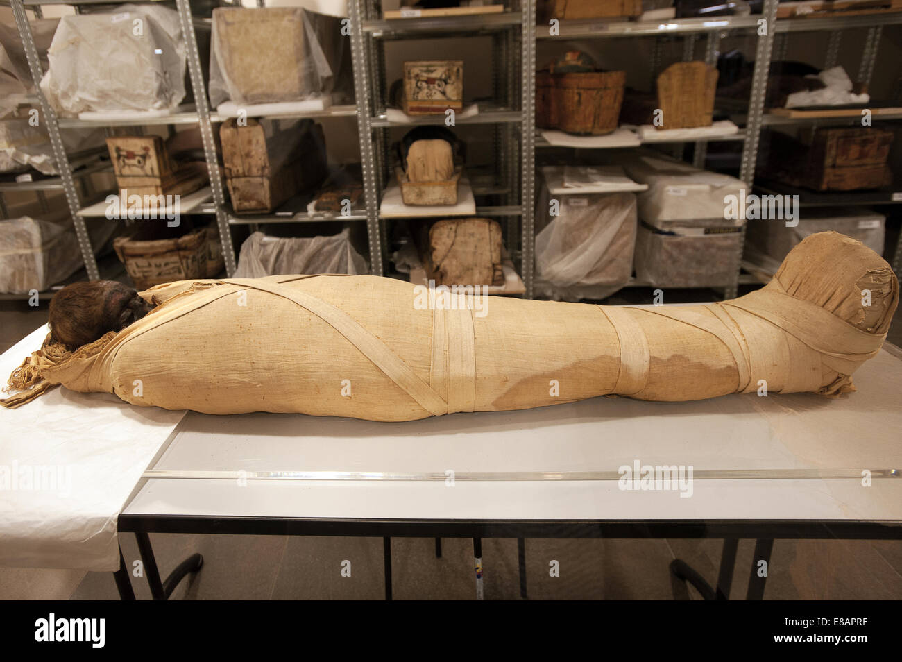Italy Piedmont Turin Egyptian Museum Mummy Stock Photo - Alamy