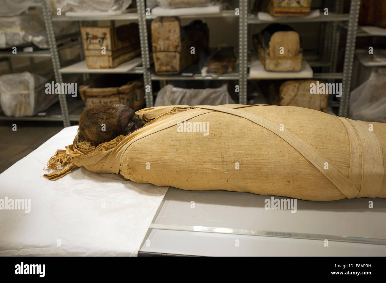 Italy Piedmont Turin Egyptian Museum Mummy Stock Photo - Alamy
