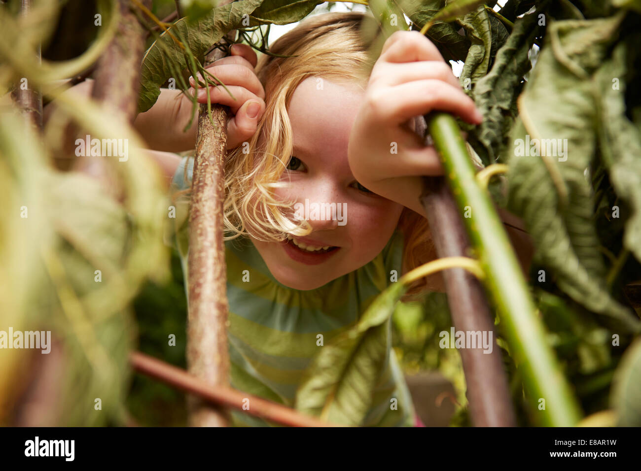 Girl in bushes hi-res stock photography and images - Alamy