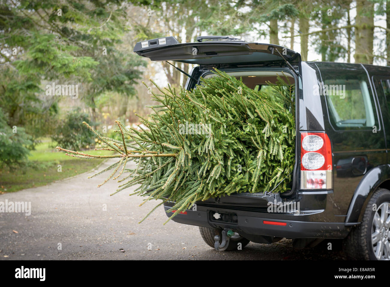 Boot of car hi-res stock photography and images - Alamy