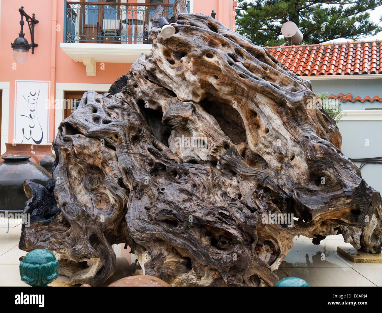 A huge tree root system used as a garden ornament in the village of ...