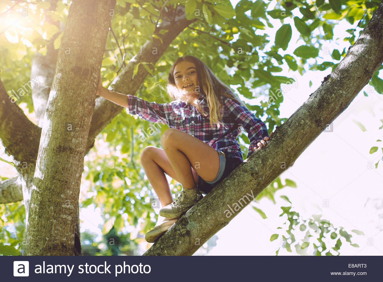 Girl Sitting On Branch Of Tree Stock Photos & Girl Sitting On Branch Of Tree Stock Images - Alamy