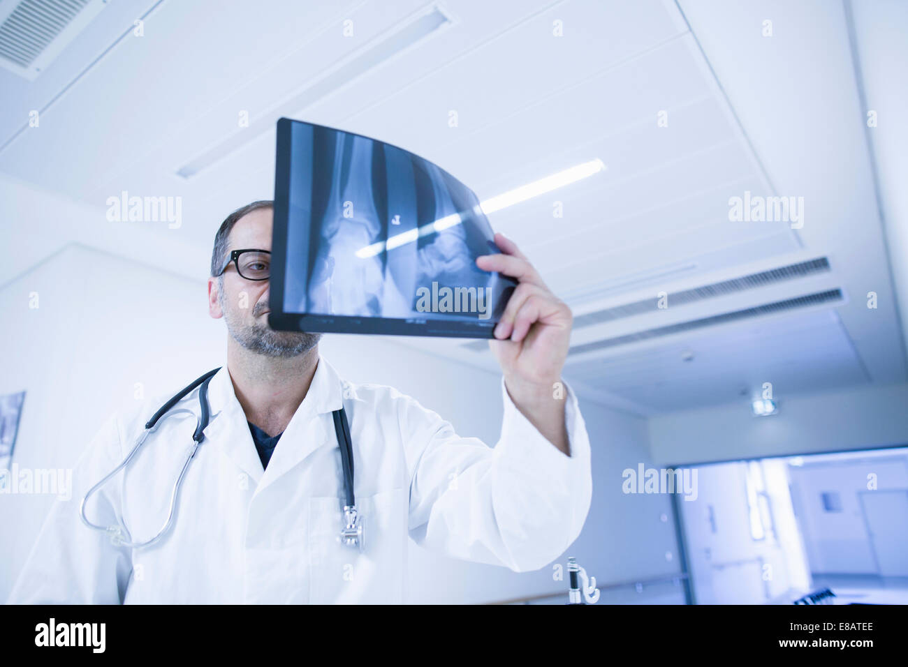Radiologist looking at xray results in hospital Stock Photo - Alamy