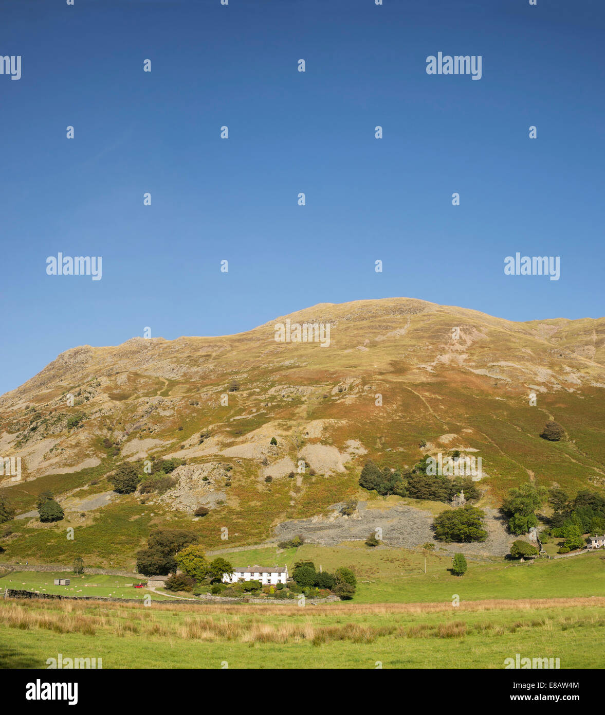 Lakeland Farm with Patterdale Common, English Lake District, UK Stock ...
