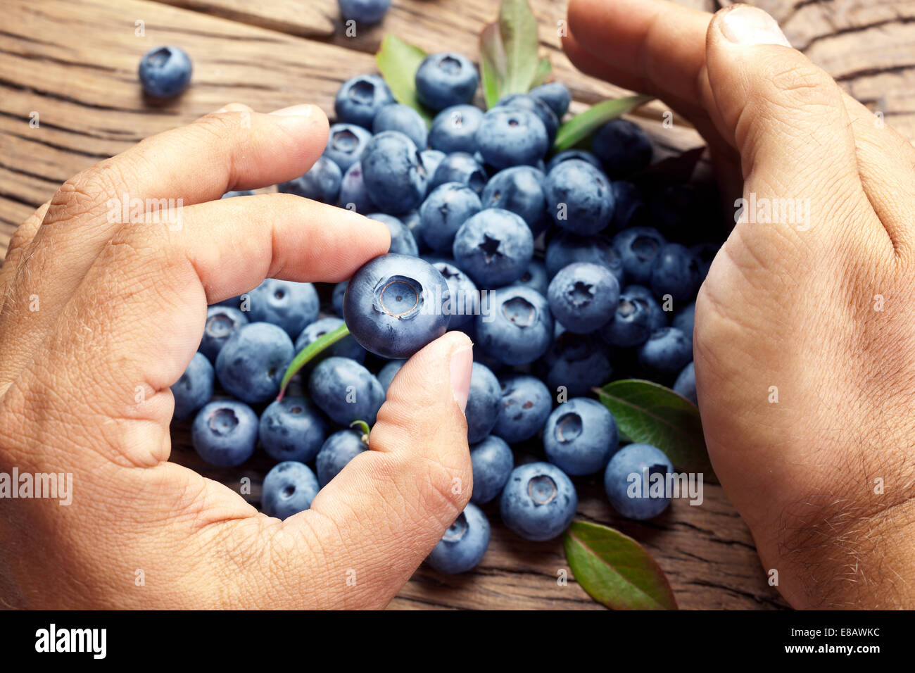 Blueberry in mans hand hi-res stock photography and images - Alamy