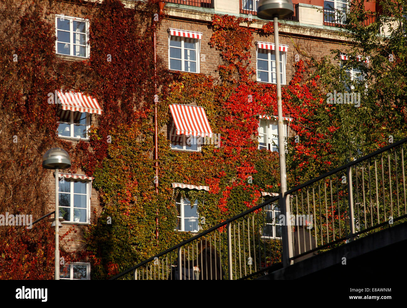 Estocolmo skansen hi-res stock photography and images - Alamy
