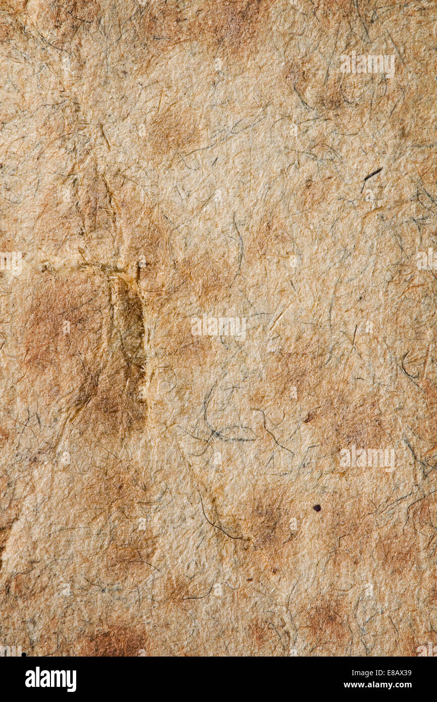 Mess hi res hi-res stock photography and images - Alamy