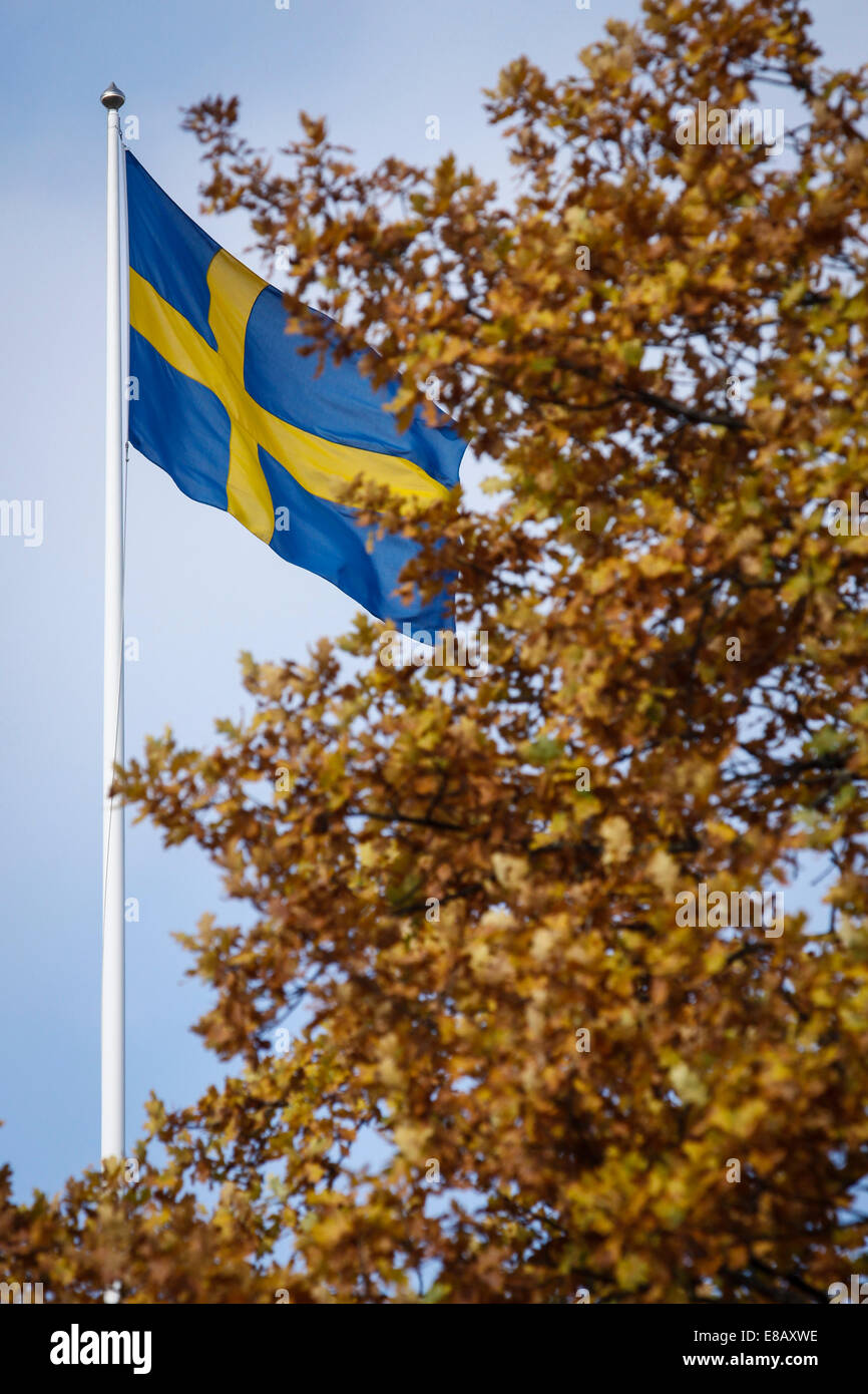 Swedish flag hi-res stock photography and images - Alamy