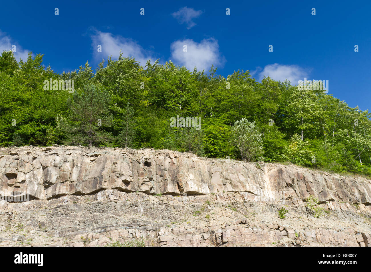 Forest and Rocks Stock Photo - Alamy