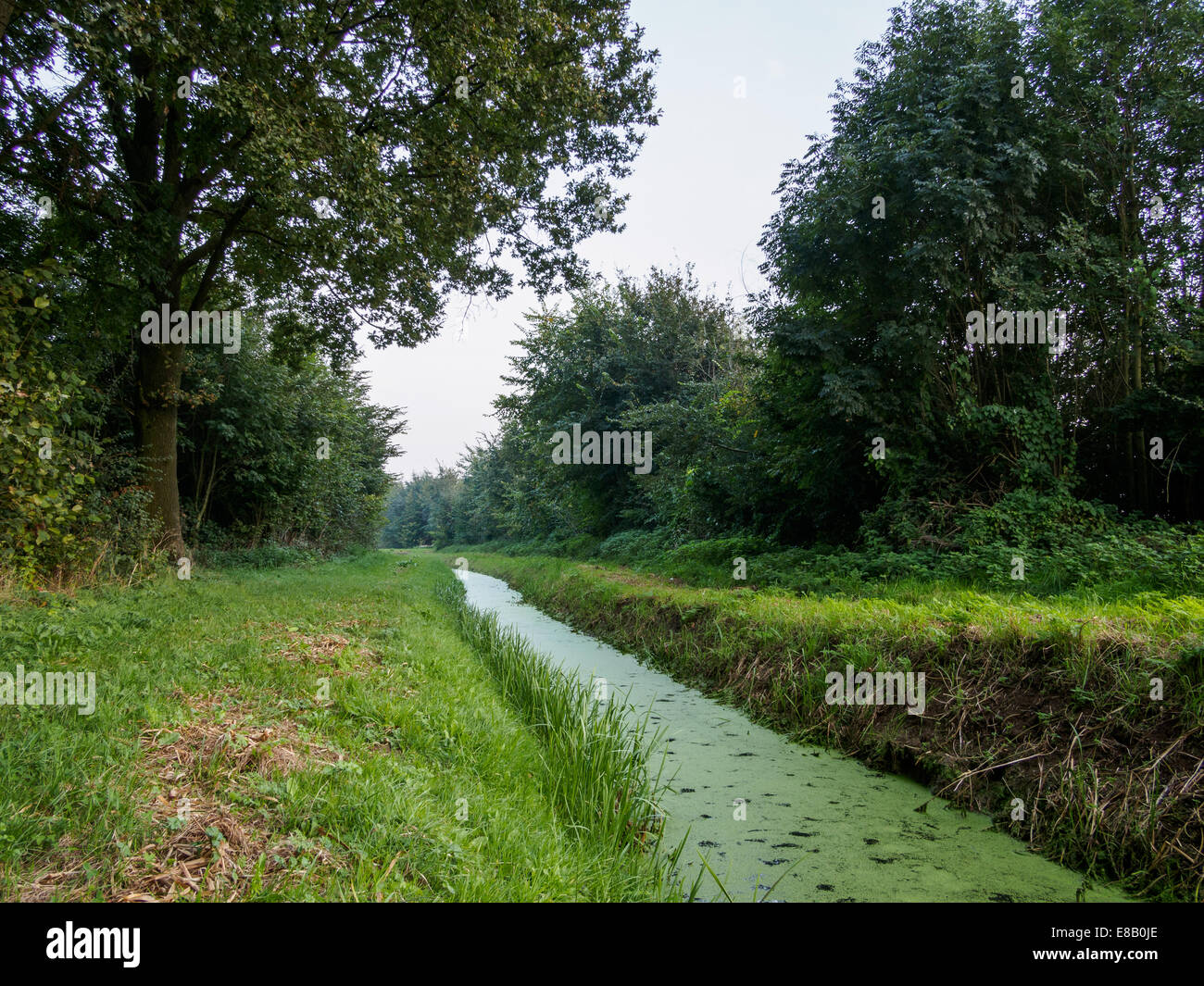 Grass covered drain hi-res stock photography and images - Alamy