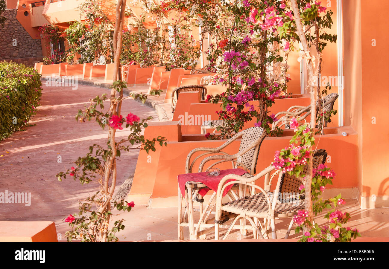 Flowers, lawn chairs and tables on the veranda of the resort Stock ...