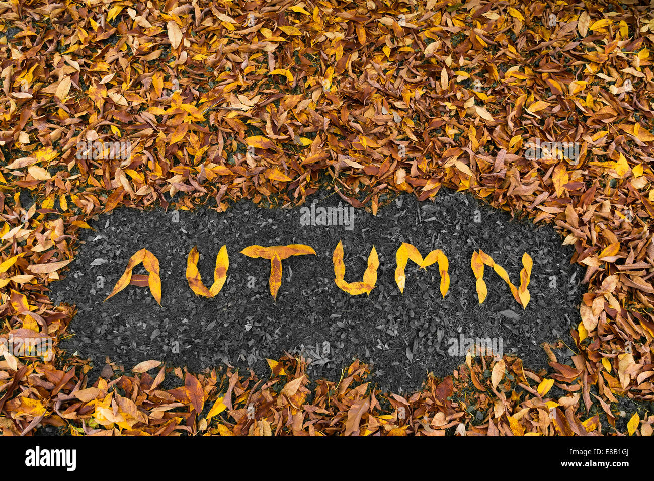 Words nature written autumn leaves hi-res stock photography and images ...