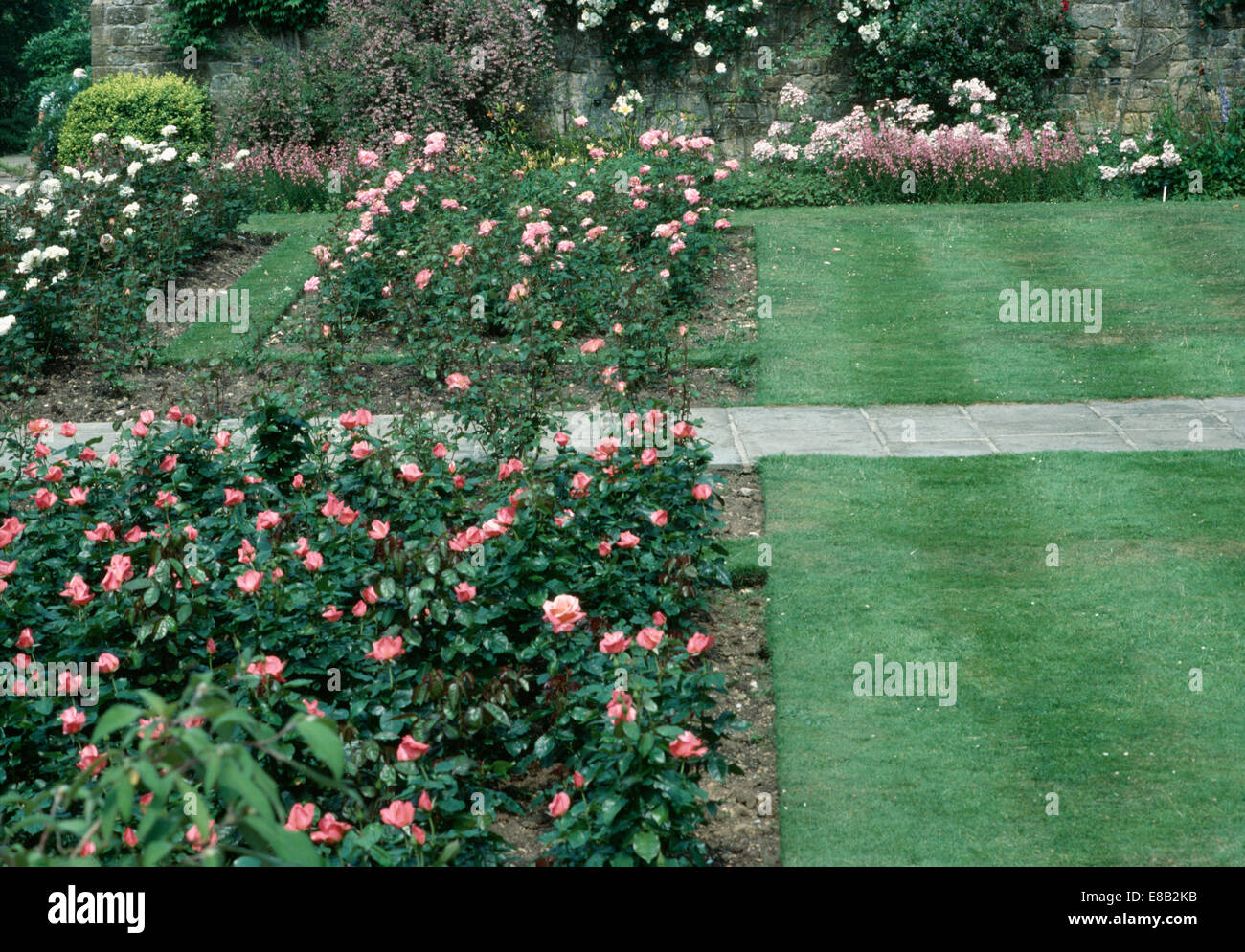 Large garden beds roses hi-res stock photography and images - Alamy