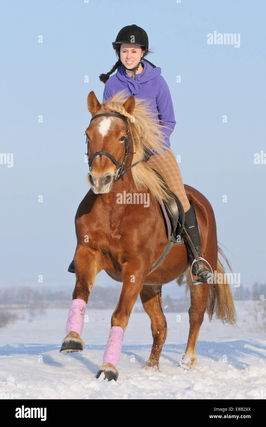 Young rider on back of her pony galloping in snow Stock Photo - Alamy