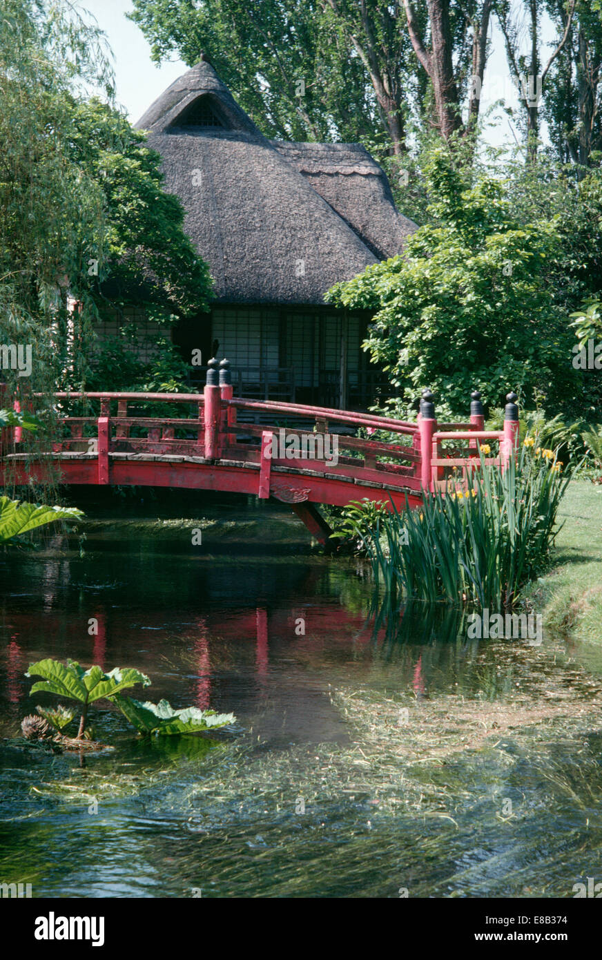 Red Chinese style bridge in large garden of country cottage with ...