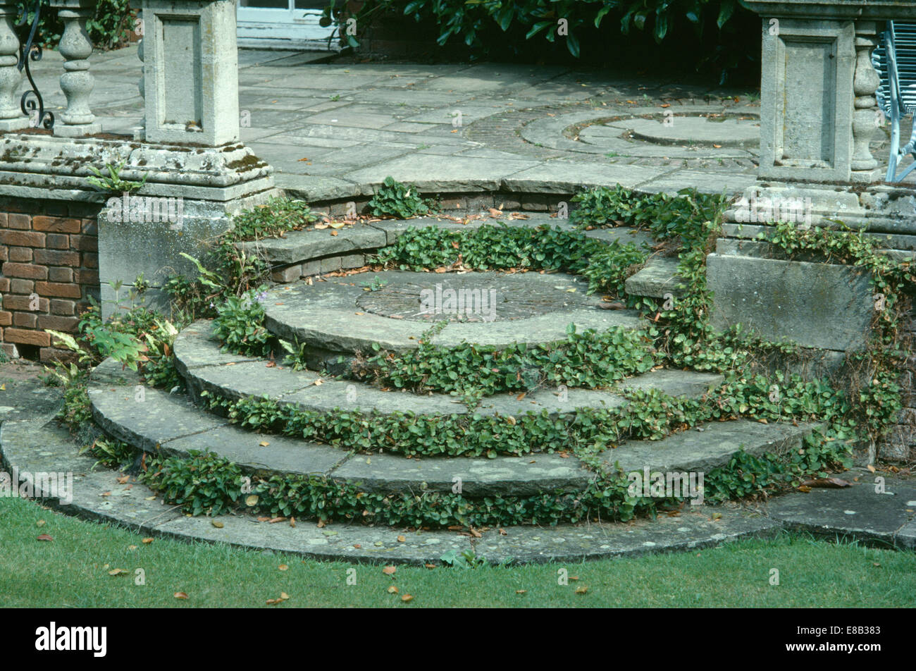 Curved stone steps edged with ivy, leading to stone terrace in large ...