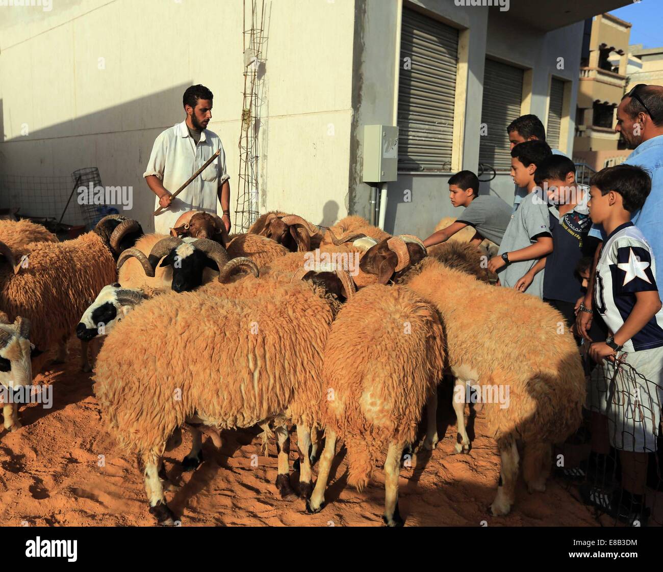 Libya eid al adha hi-res stock photography and images - Alamy