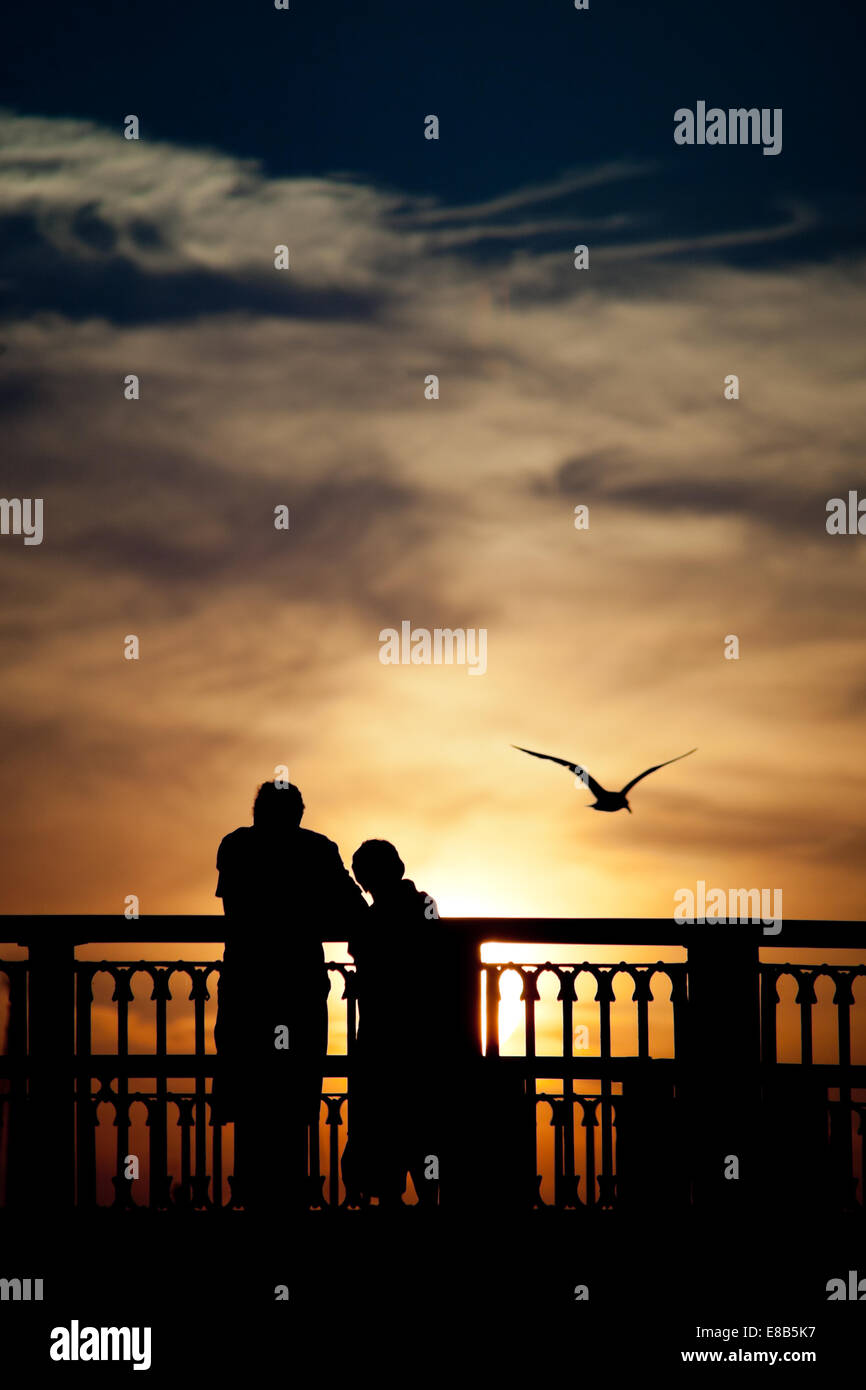 Silhouette couple standing on bridge hi-res stock photography and ...