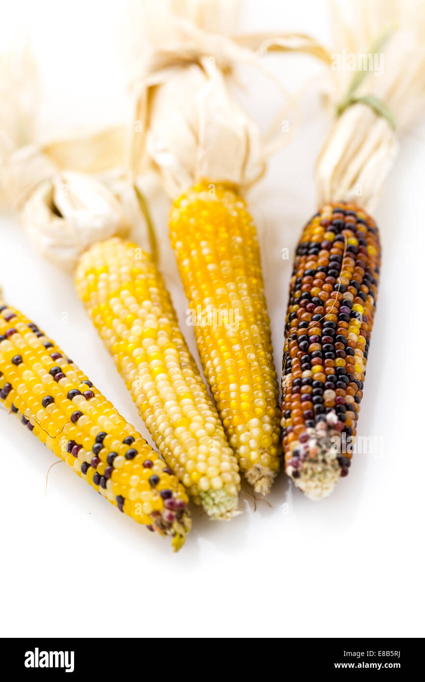 Multi colored indian corn made for Thanksgiving decoration Stock Photo ...