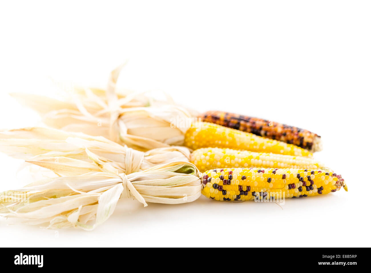 Multi colored indian corn made for Thanksgiving decoration Stock Photo ...