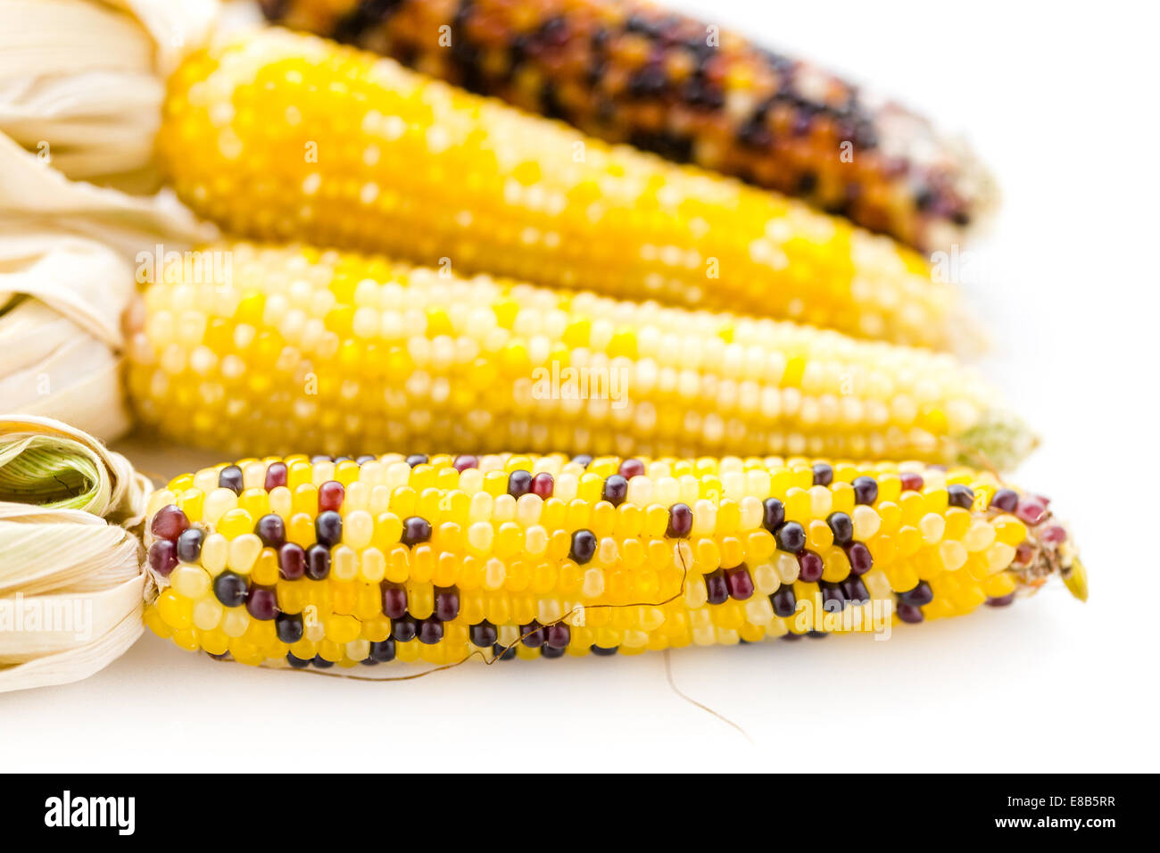 Multi colored indian corn made for Thanksgiving decoration Stock Photo ...