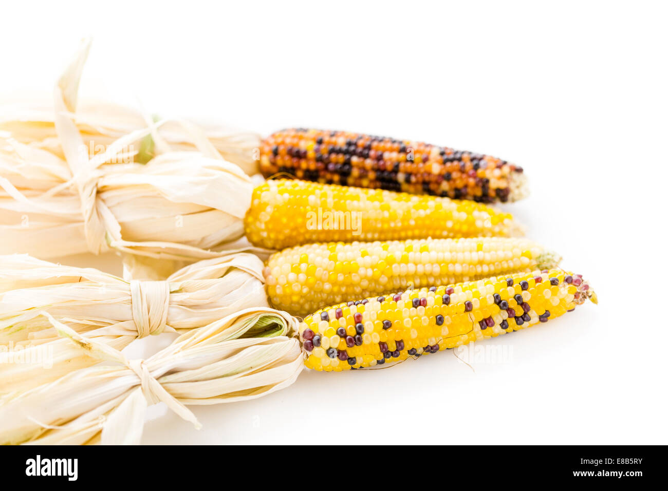 Multi colored indian corn made for Thanksgiving decoration Stock Photo ...