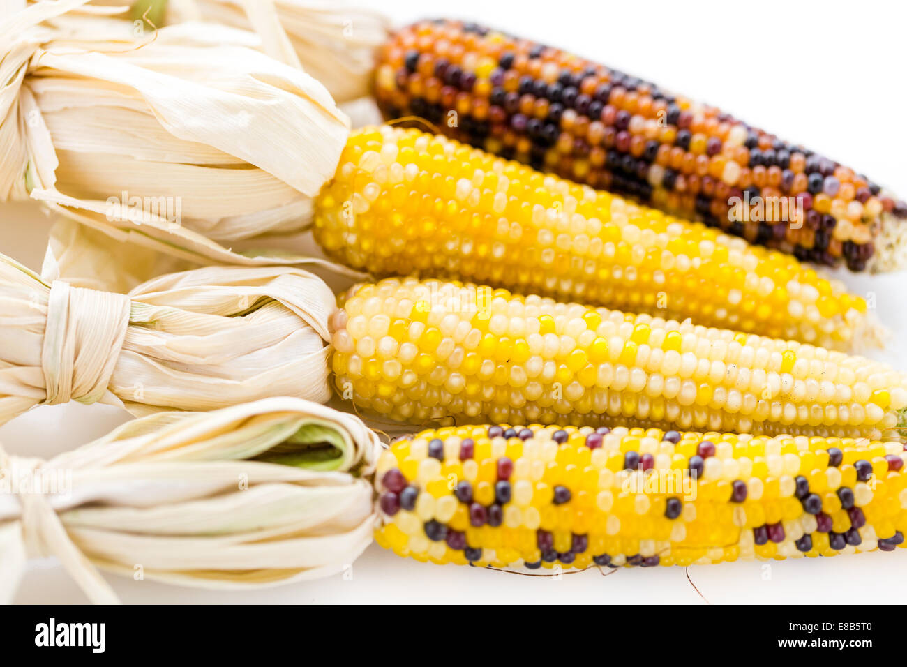 Multi colored indian corn made for Thanksgiving decoration Stock Photo ...