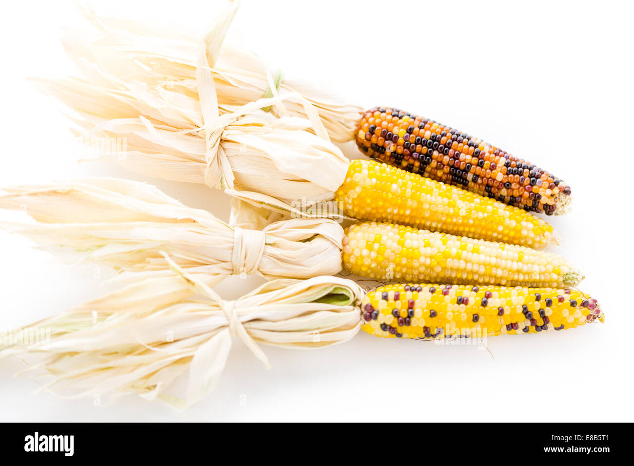 Multi colored indian corn made for Thanksgiving decoration Stock Photo ...
