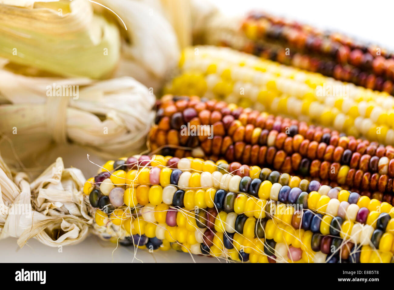 Multi colored indian corn made for Thanksgiving decoration Stock Photo ...