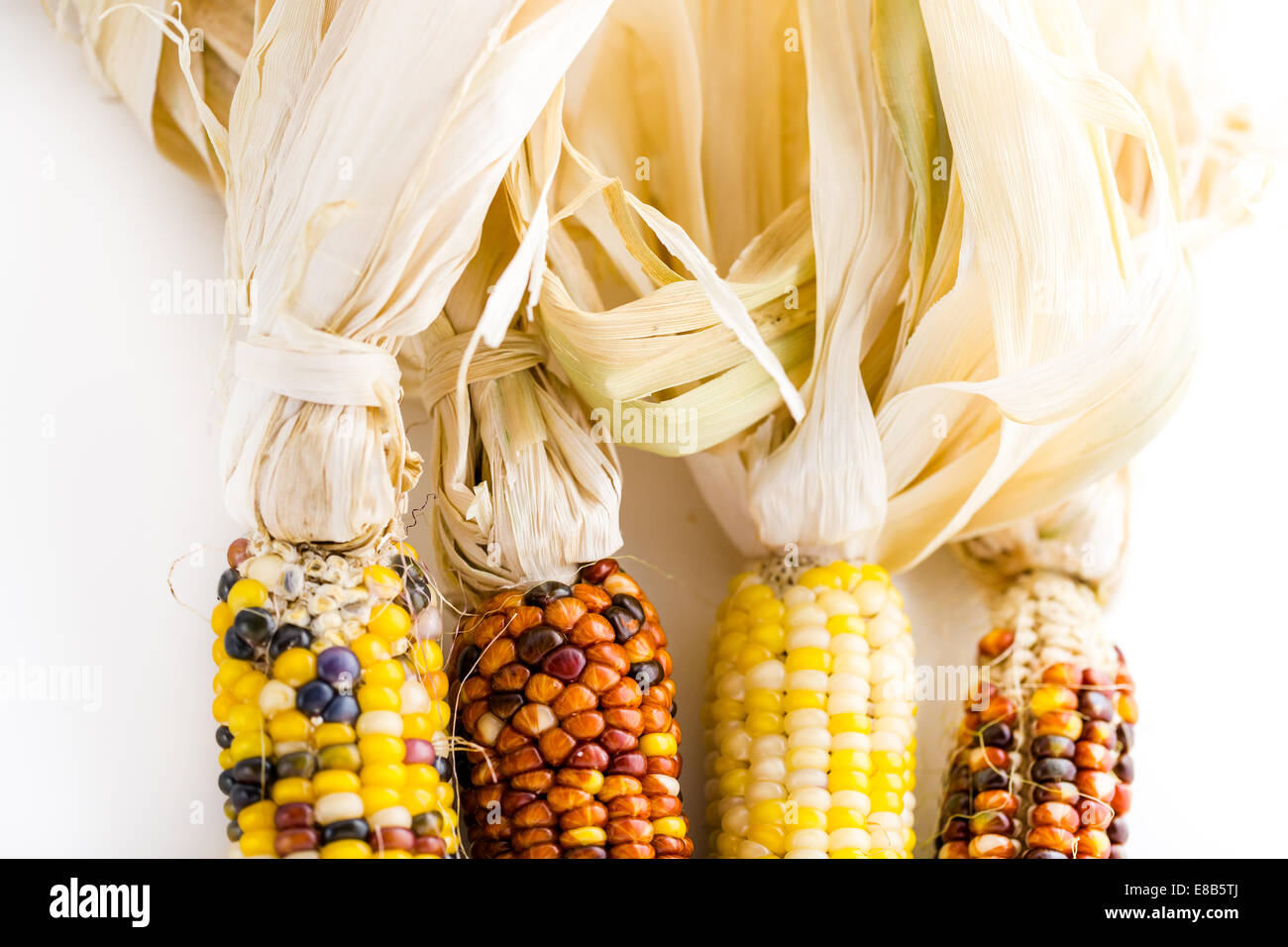 Multi colored indian corn made for Thanksgiving decoration Stock Photo ...
