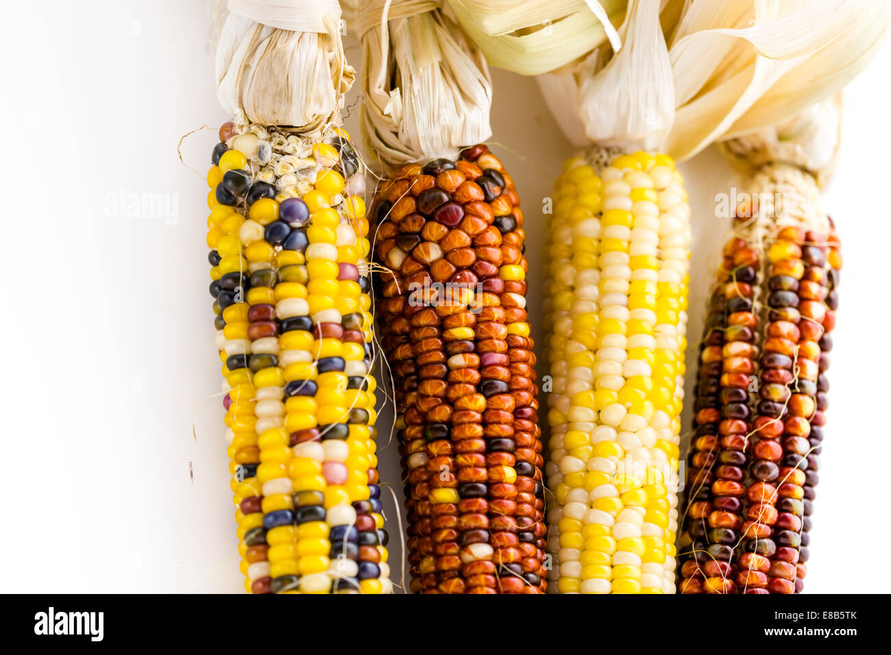 Multi colored indian corn made for Thanksgiving decoration Stock Photo ...