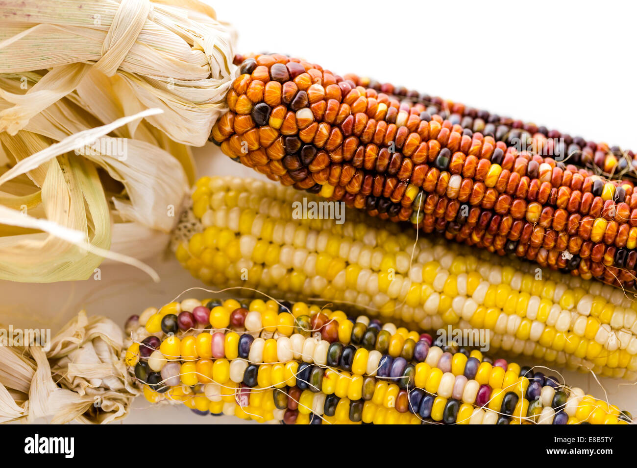 Multi colored indian corn made for Thanksgiving decoration Stock Photo ...