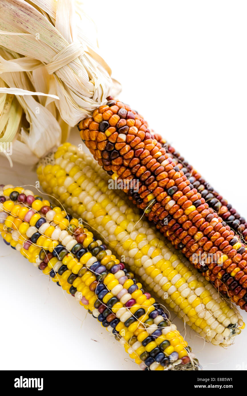 Multi colored indian corn made for Thanksgiving decoration Stock Photo ...