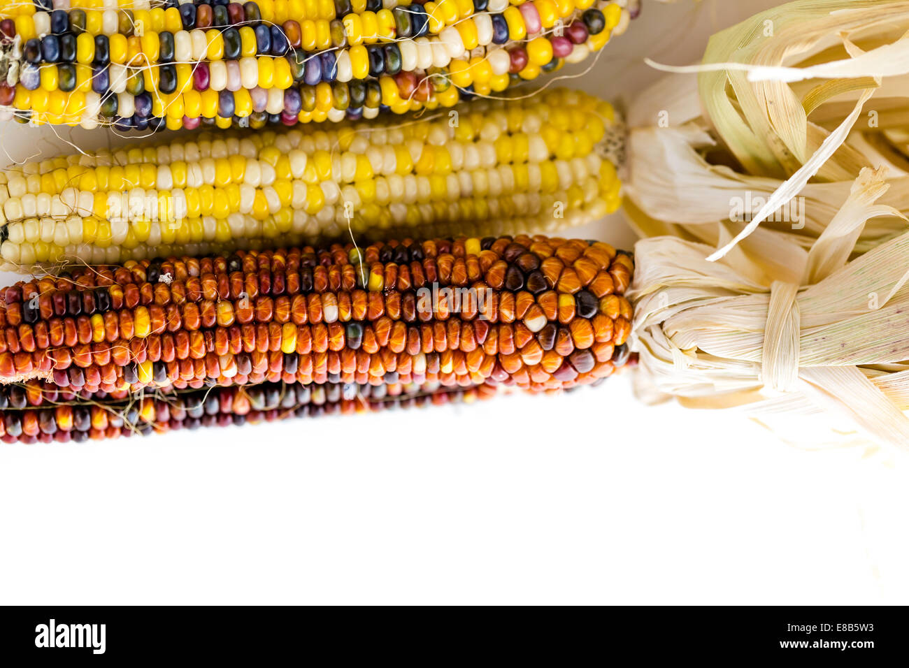 Multi colored indian corn made for Thanksgiving decoration Stock Photo ...