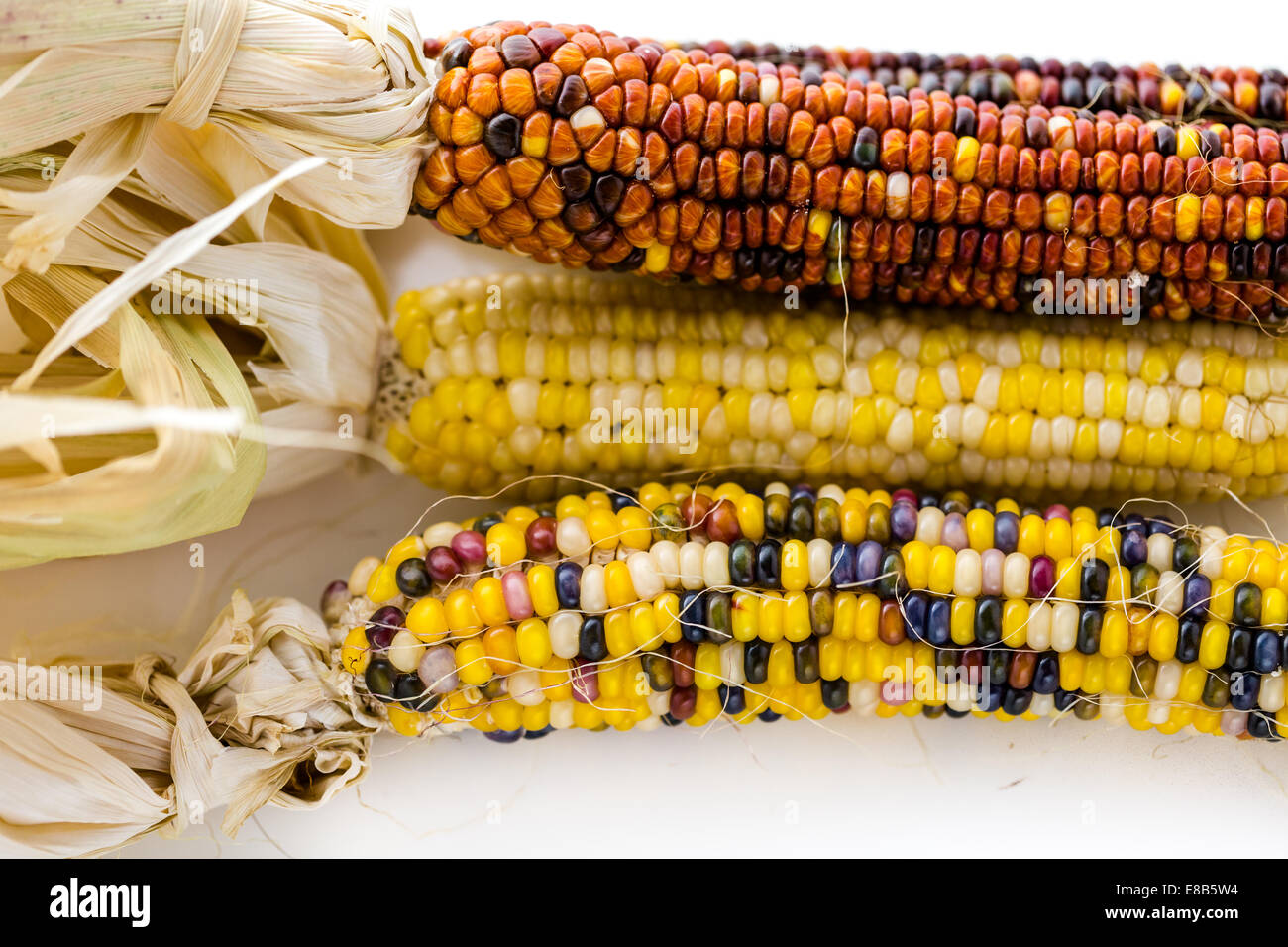 Multi colored indian corn made for Thanksgiving decoration Stock Photo ...